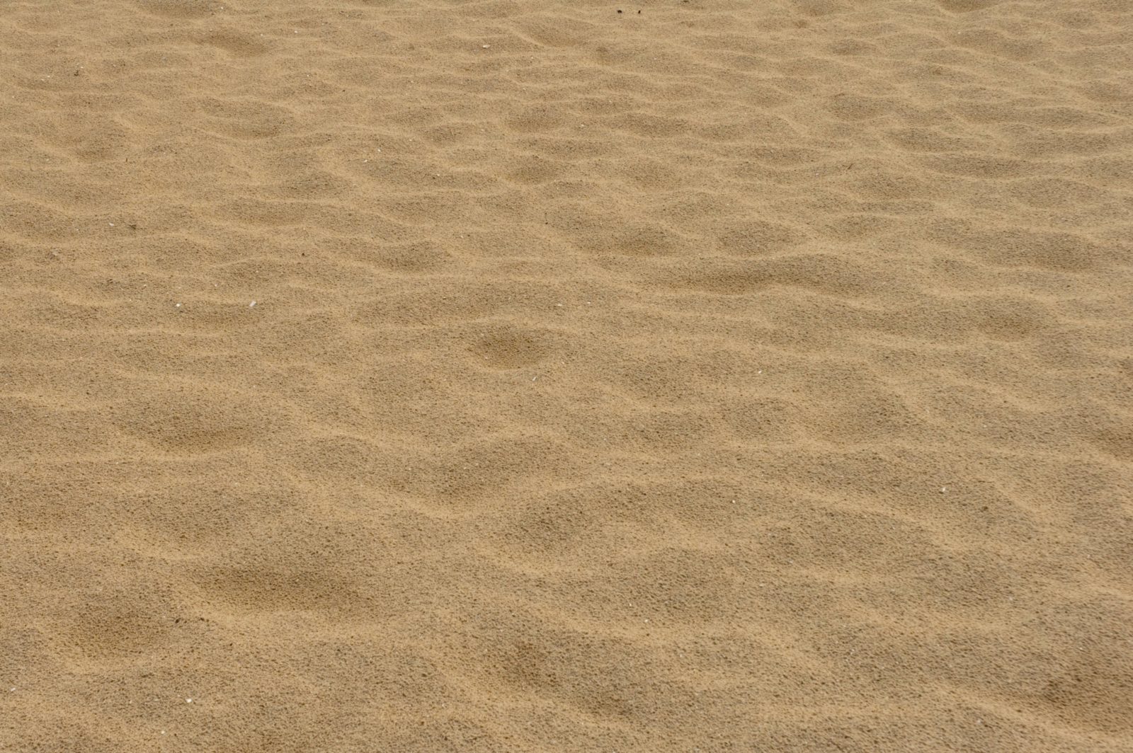 Beach Sand - PatternPictures