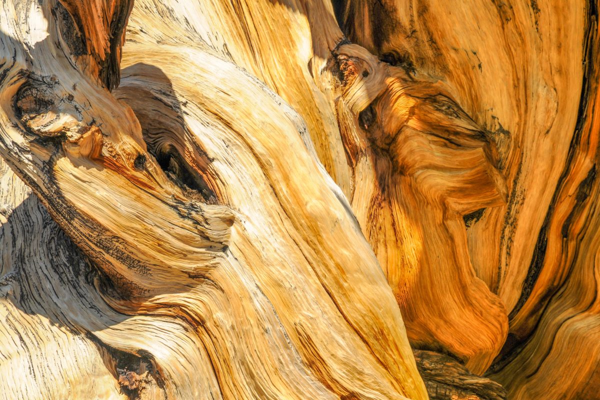 Subtle plaster wall texture - PatternPictures