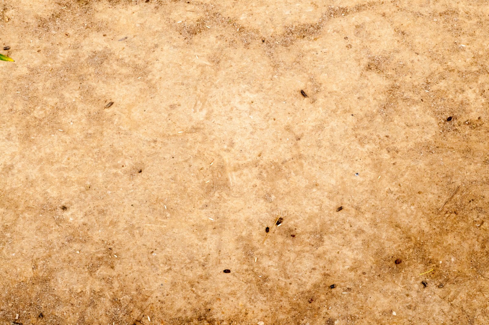 Dirt Floor - PatternPictures