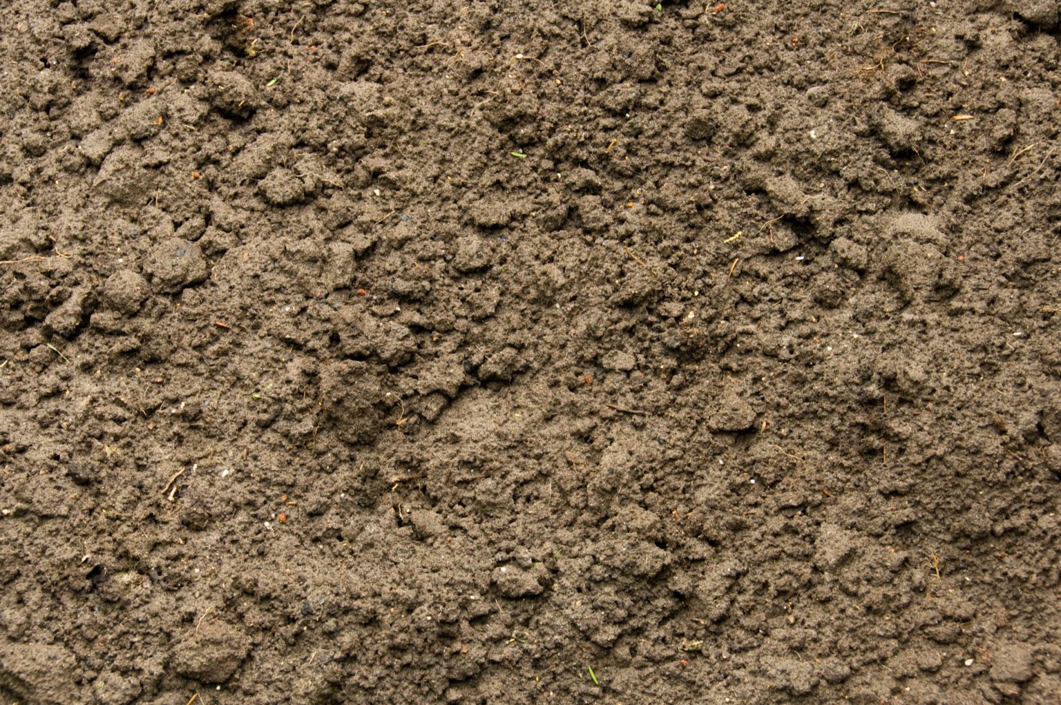 Fertile earth background - PatternPictures