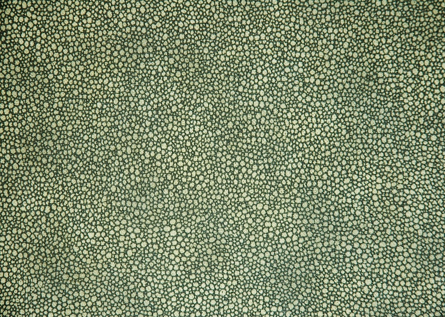 Green Spickled Wallpaper - PatternPictures