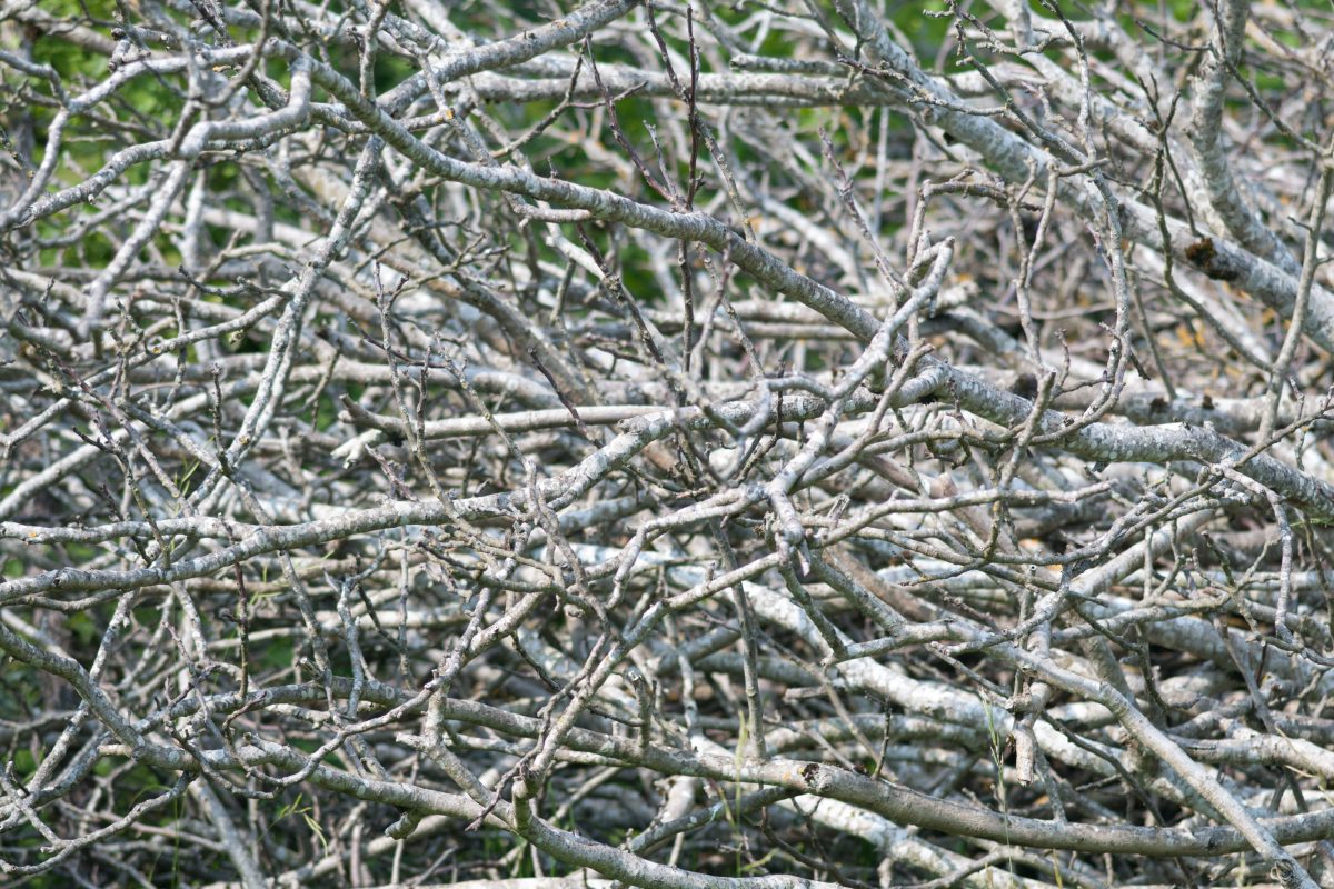 Wood texture background photo - Patternpictures.com