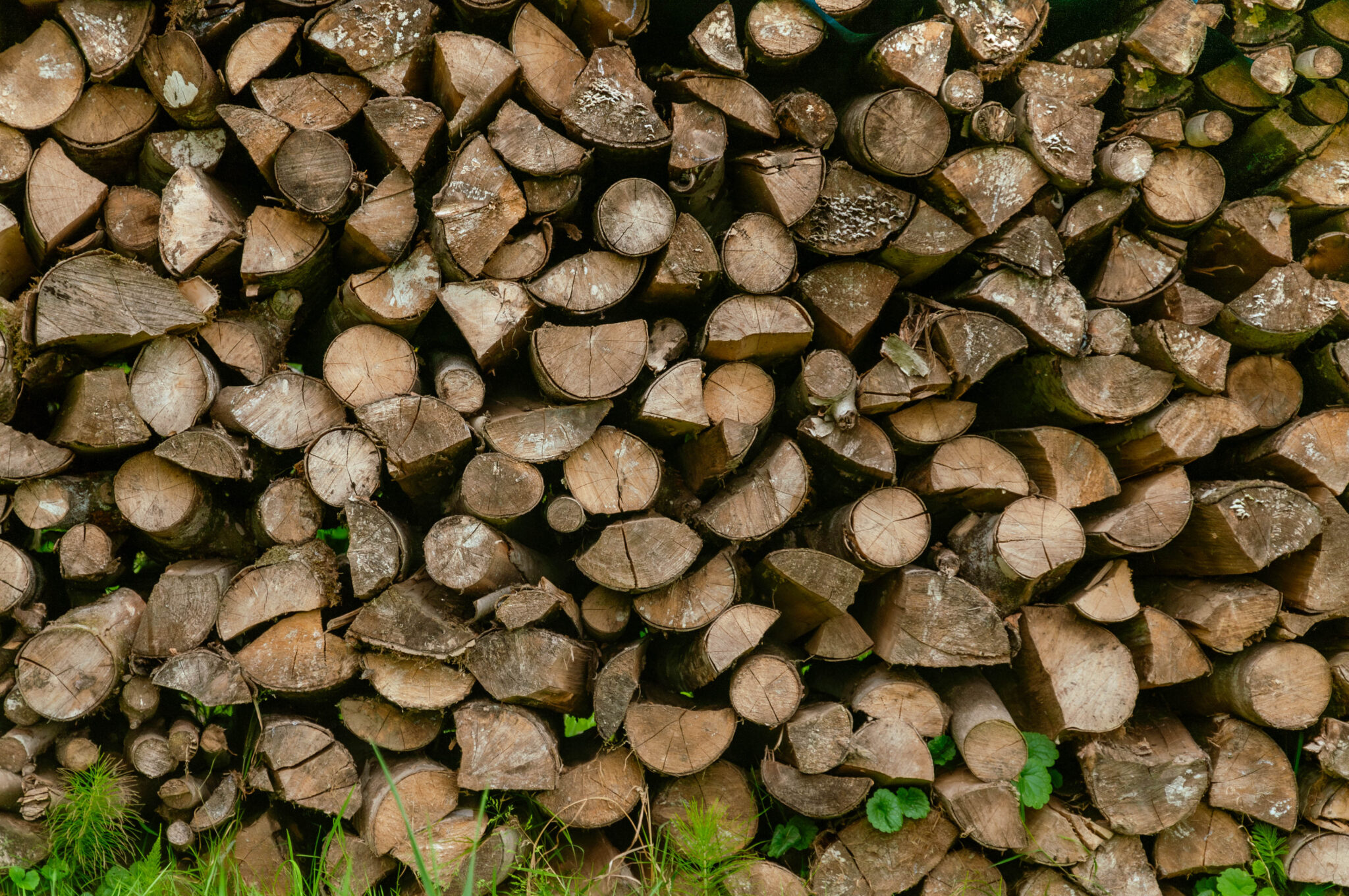 Old chopped wood background texture - PatternPictures