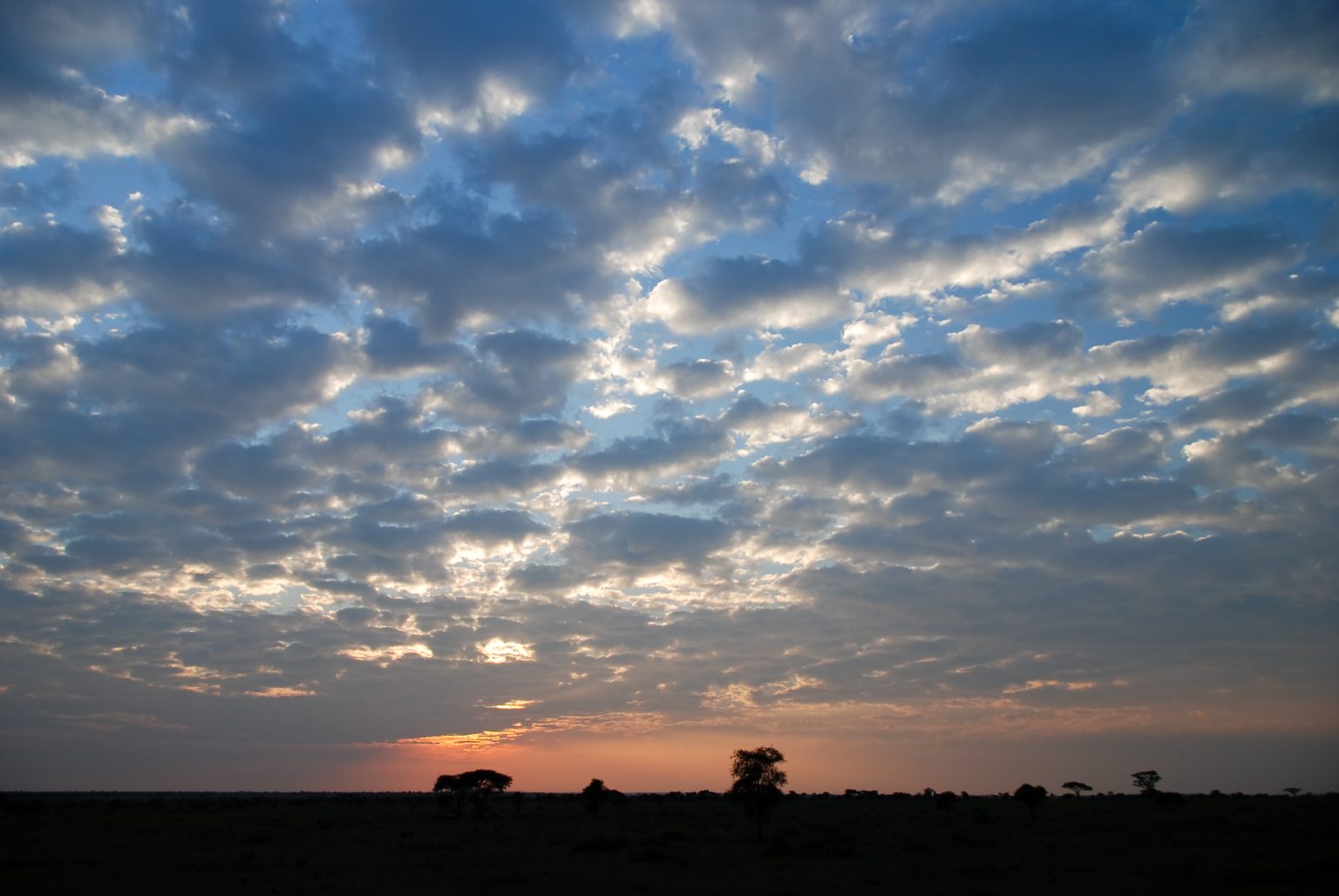 Serengeti blue low-level cloudy sunrise sky - PatternPictures