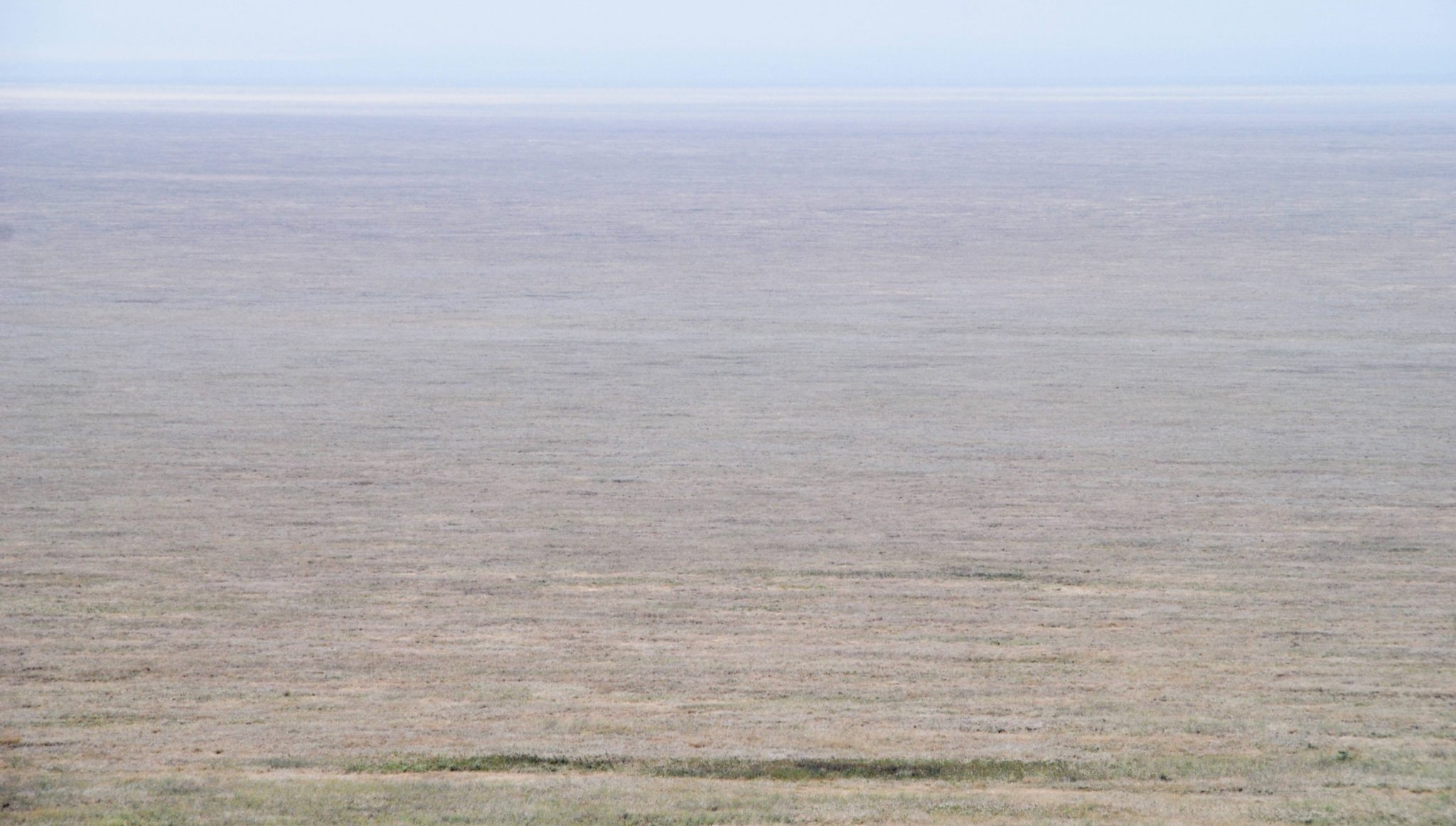 Large Dry Plains - PatternPictures