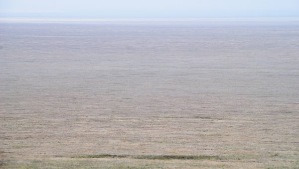Large Dry Plains - PatternPictures