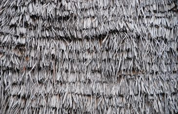 Reed Roof - PatternPictures