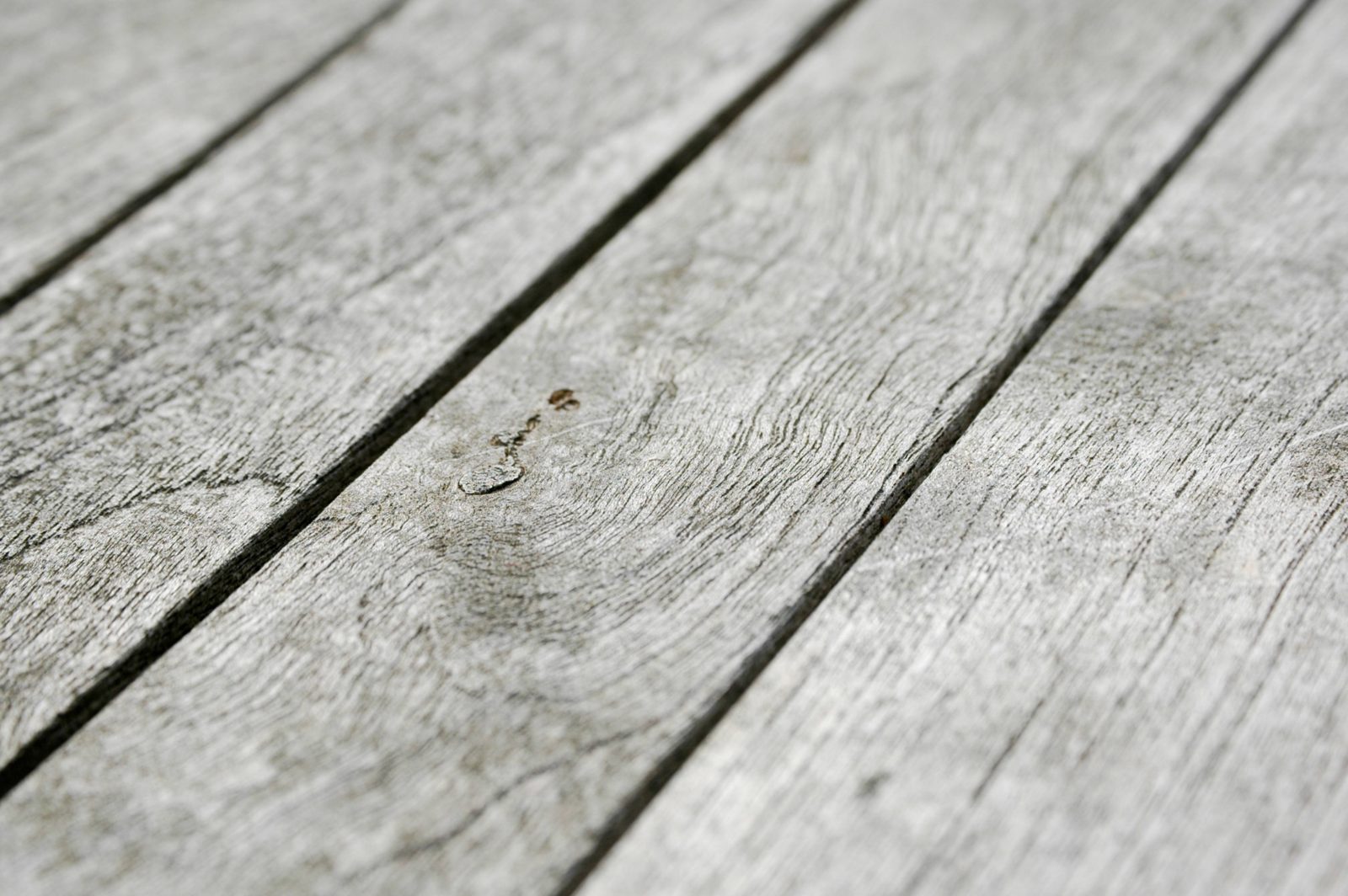 Bush Branches - PatternPictures