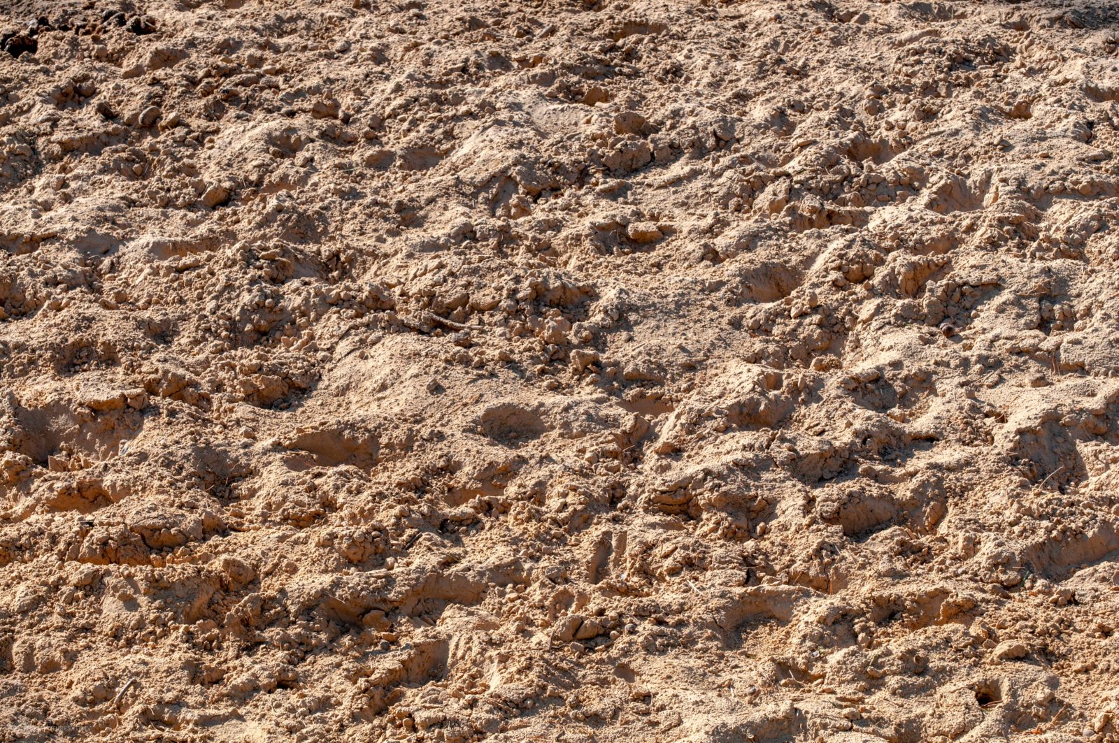 Sand Ground Texture