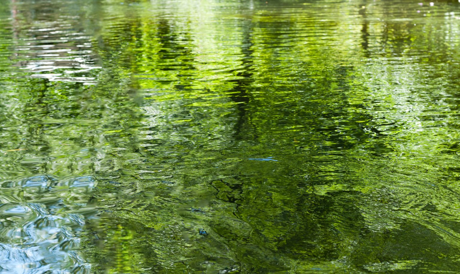 green water texture - PatternPictures