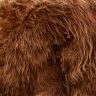 highlander bull fur texture - Patternpictures.com